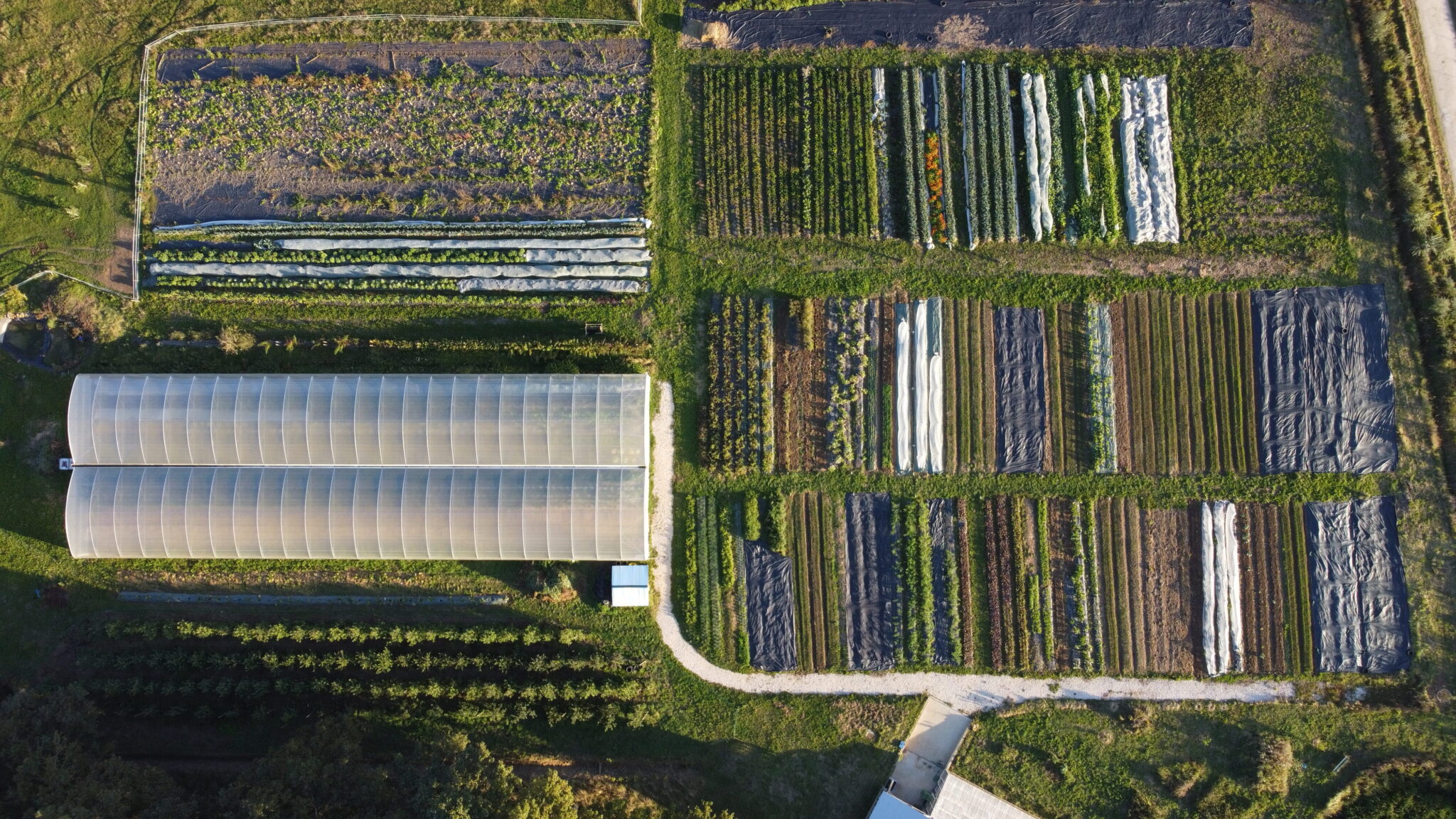 Le Groupe SOS dévoile le premier baromètre du Vivre-ensemble, en ...